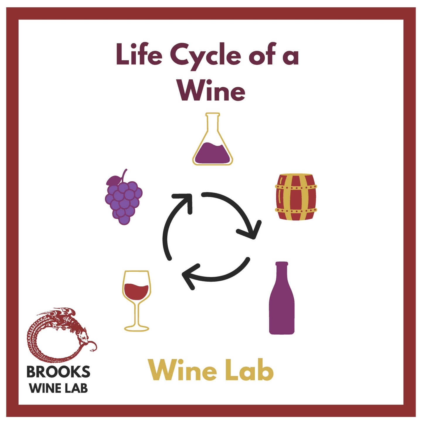 Brooks Wine Lab: Life Cycle of Wine - Brooks Wine